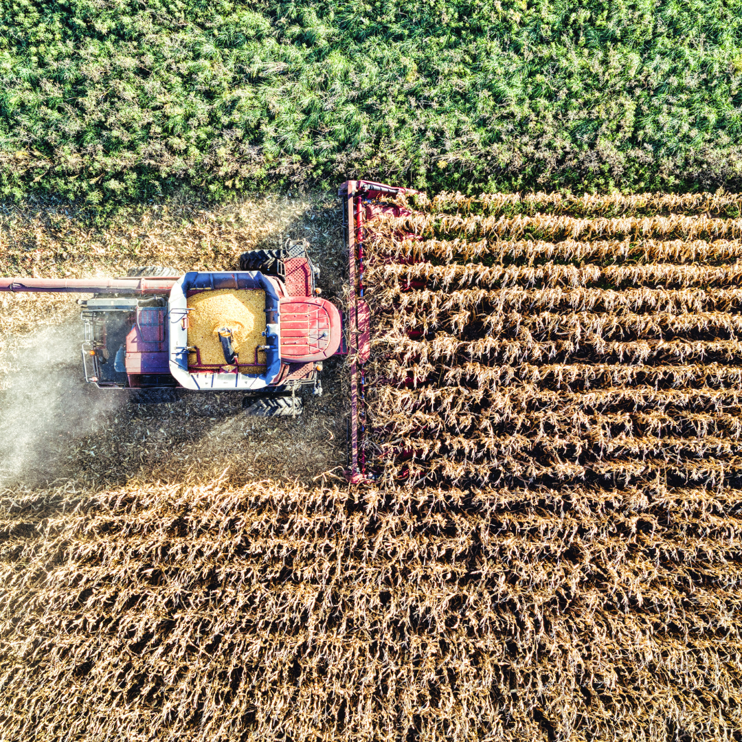 The Roots That Feed Us: The Impact of Farming in Black History and Ame ...